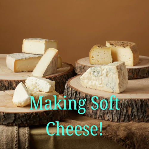 Cheese Making Guides - Expert Cheesemaking Tips and Recipes