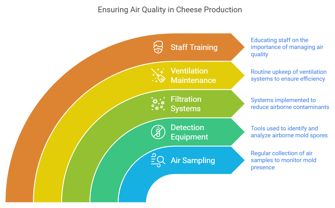Controlling Cheese Mold: Strategies for Prevention in Cheese Making