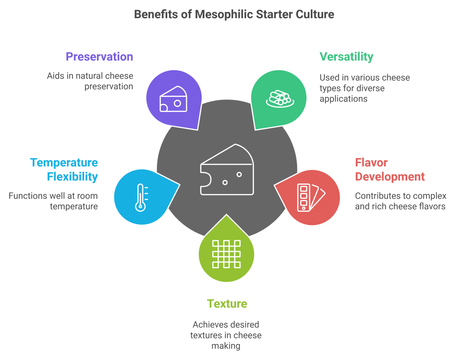 What is Mesophilic Cheese Culture: mesophilic starter culture and how ...