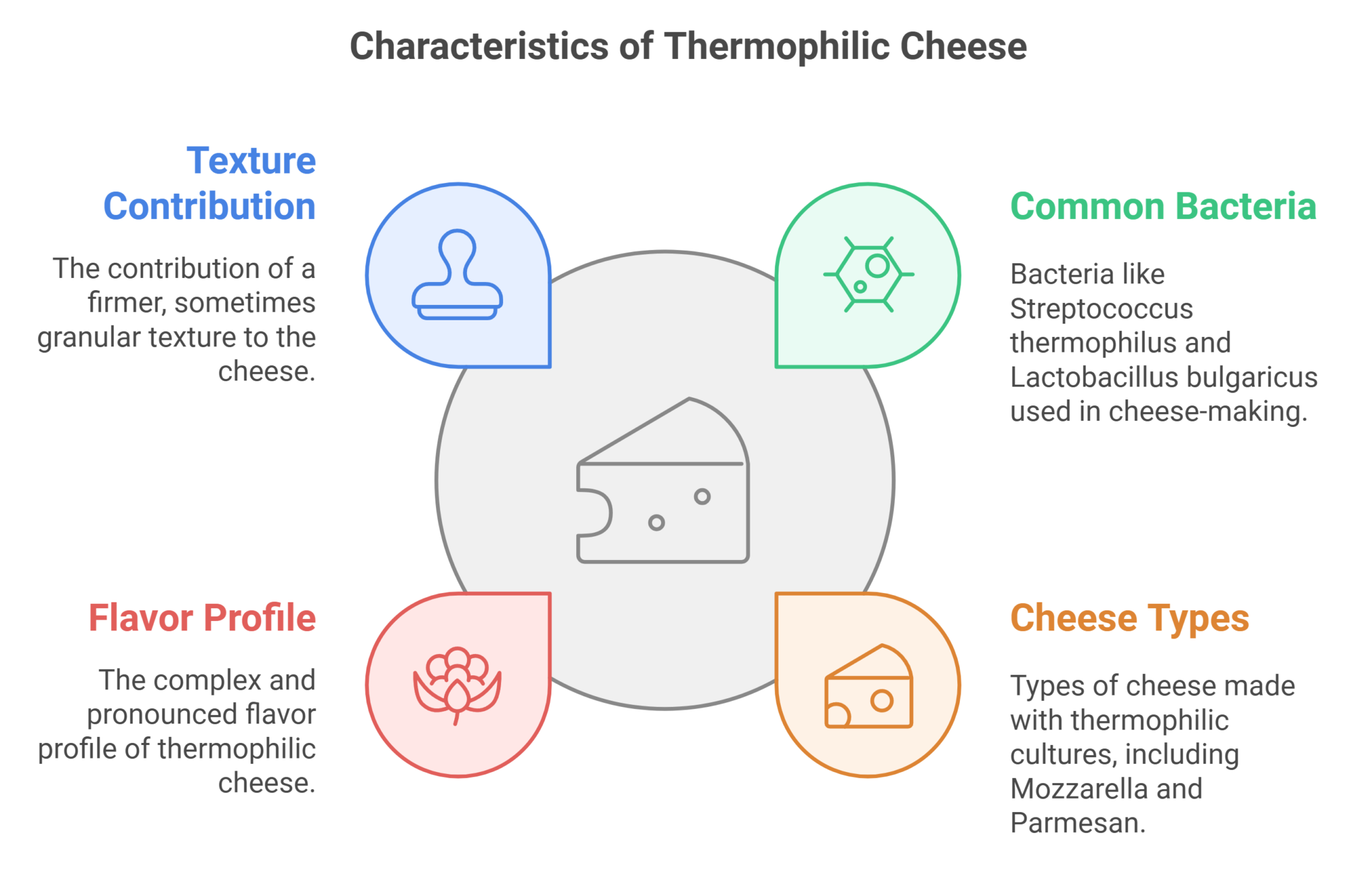 Discovering The Types of Cheese Cultures: A Comprehensive Guide for ...