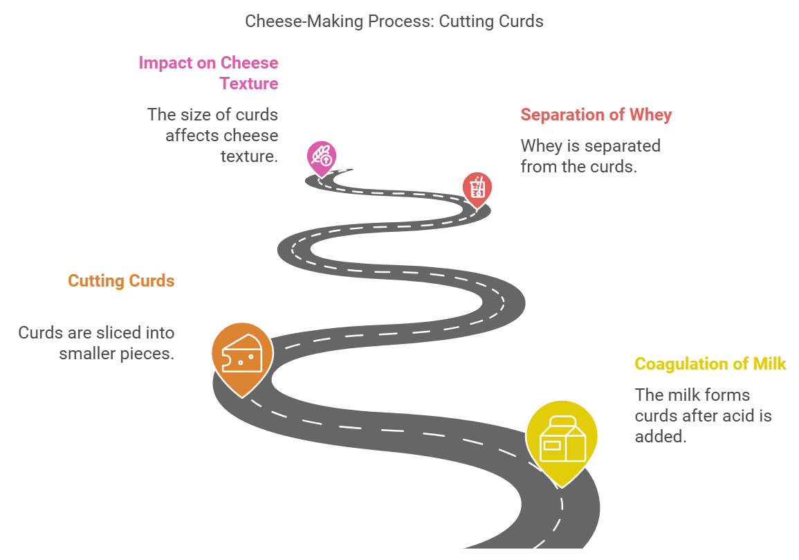 Introduction To Cheese Making
