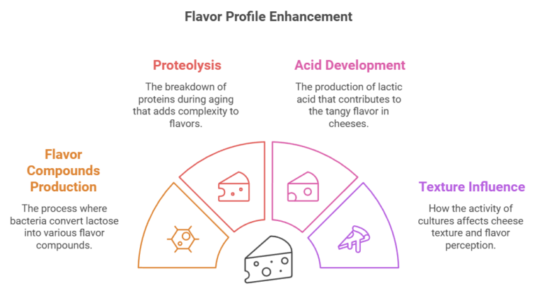How to Make Mesophilic Cheese Cultures at Home: A Guide to DIY Cheese ...