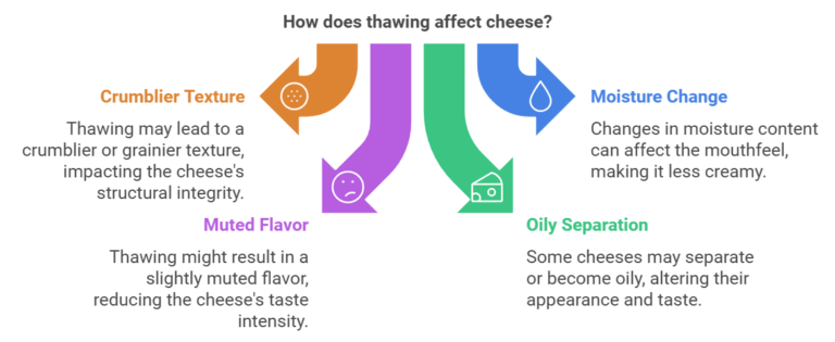 Can You Freeze Cheese? A Complete Guide to Freezing Cheese Safely