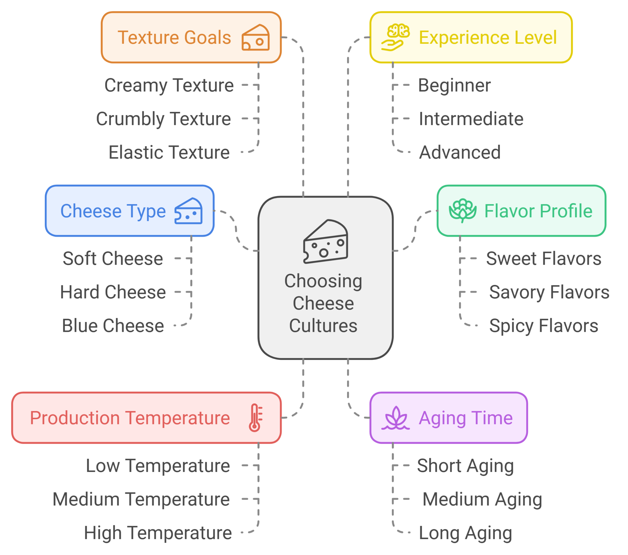 Discovering The Types of Cheese Cultures: A Comprehensive Guide for ...
