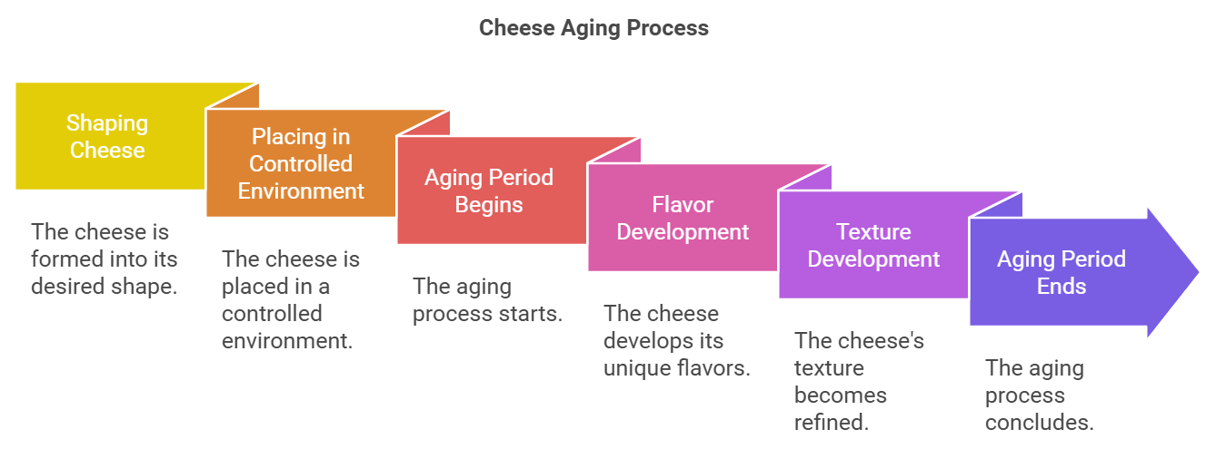 Introduction To Cheese Making