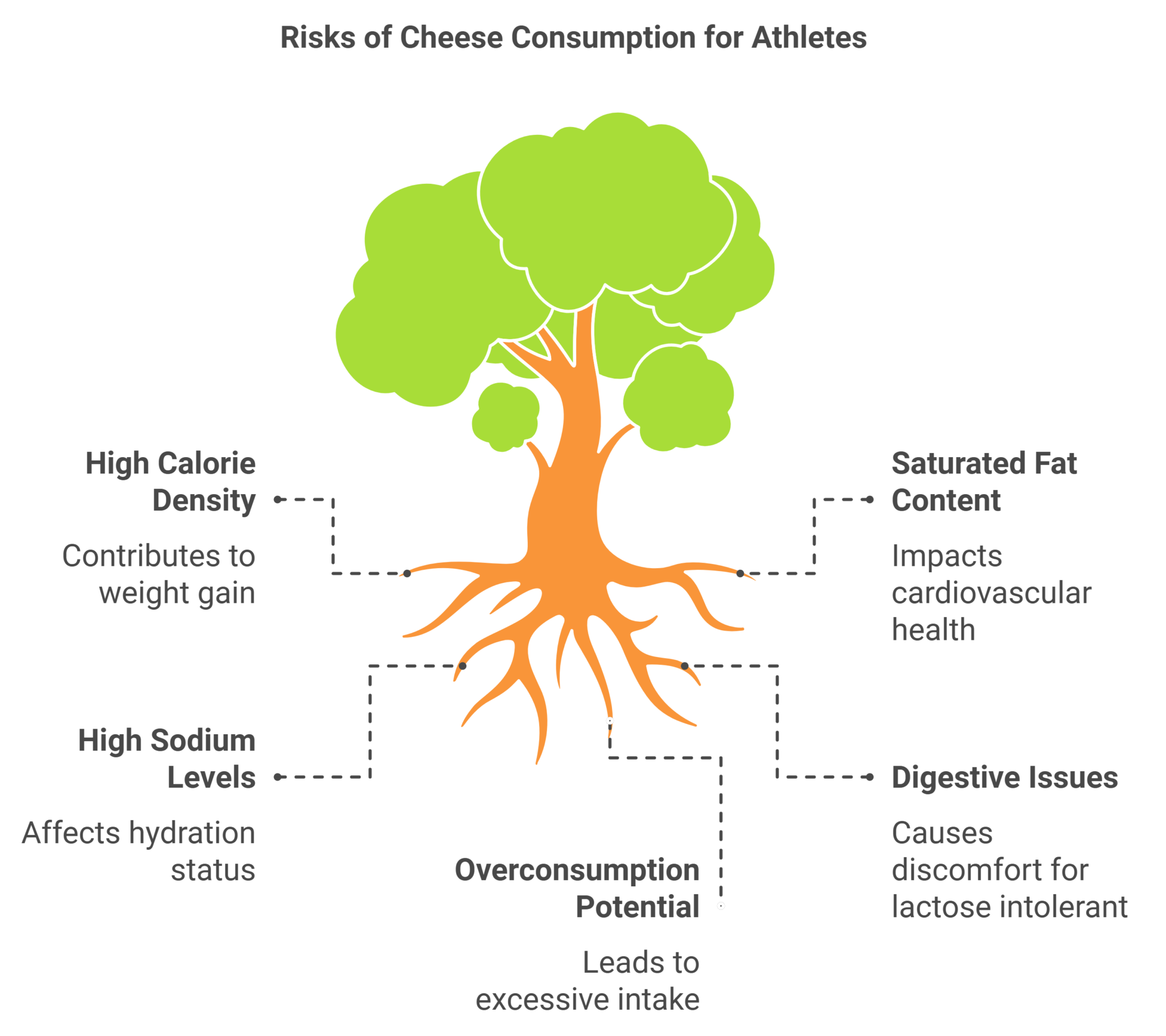 Cheese for Athletes: What are the healthiest cheeses when training?