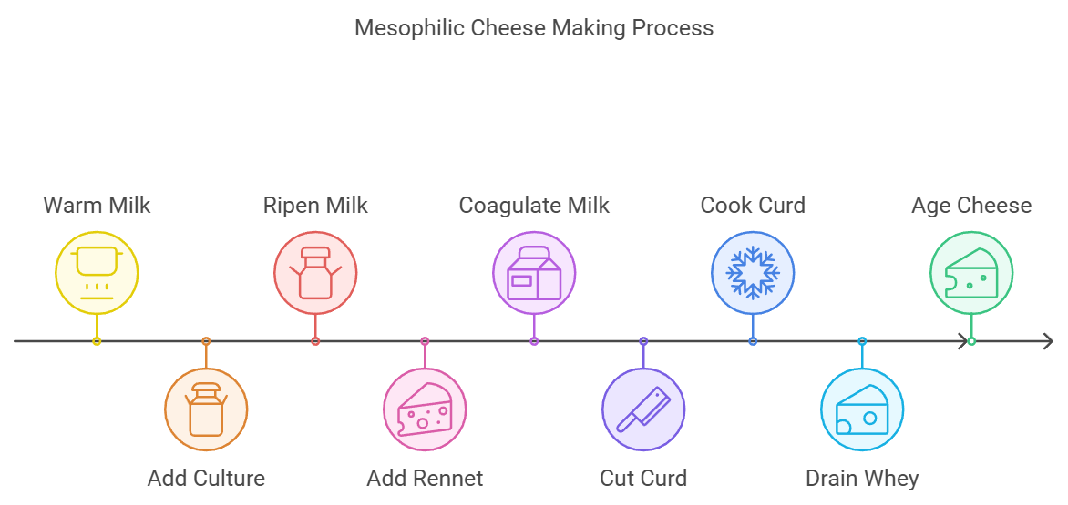 How to Make Mesophilic Cheese Cultures at Home: A Guide to DIY Cheese ...