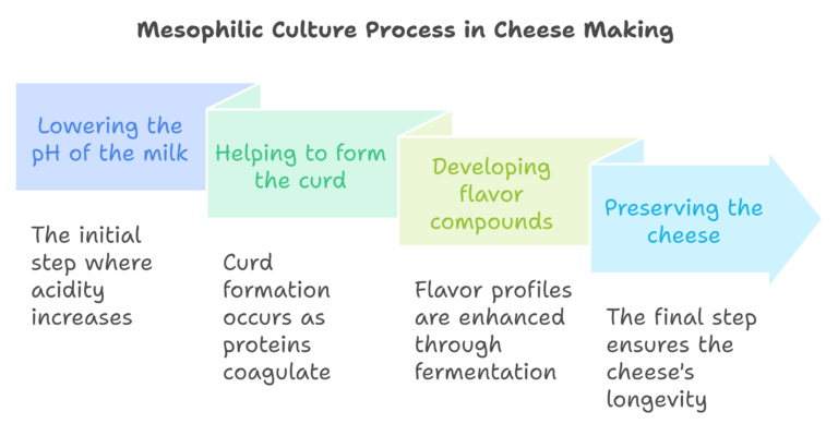 What is Mesophilic Cheese Culture: mesophilic starter culture and how ...