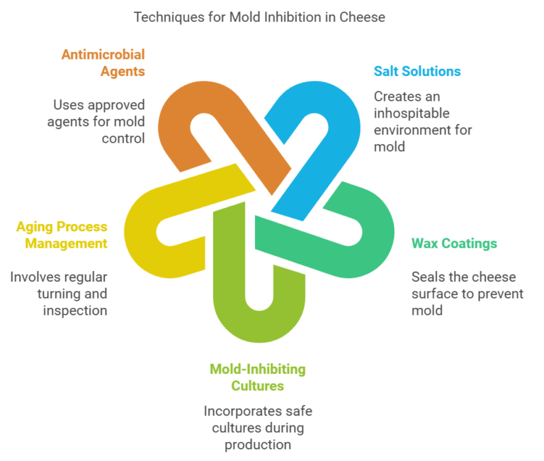 Controlling Cheese Mold: Strategies for Prevention in Cheese Making