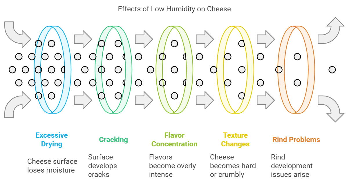 Understanding Cheese Texture and Moisture: Common Issues and Solutions ...