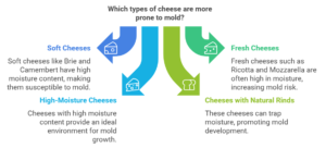 How To Store Cheese And Stop Mold To Keep It Fresh And Prevent Moldy Issues