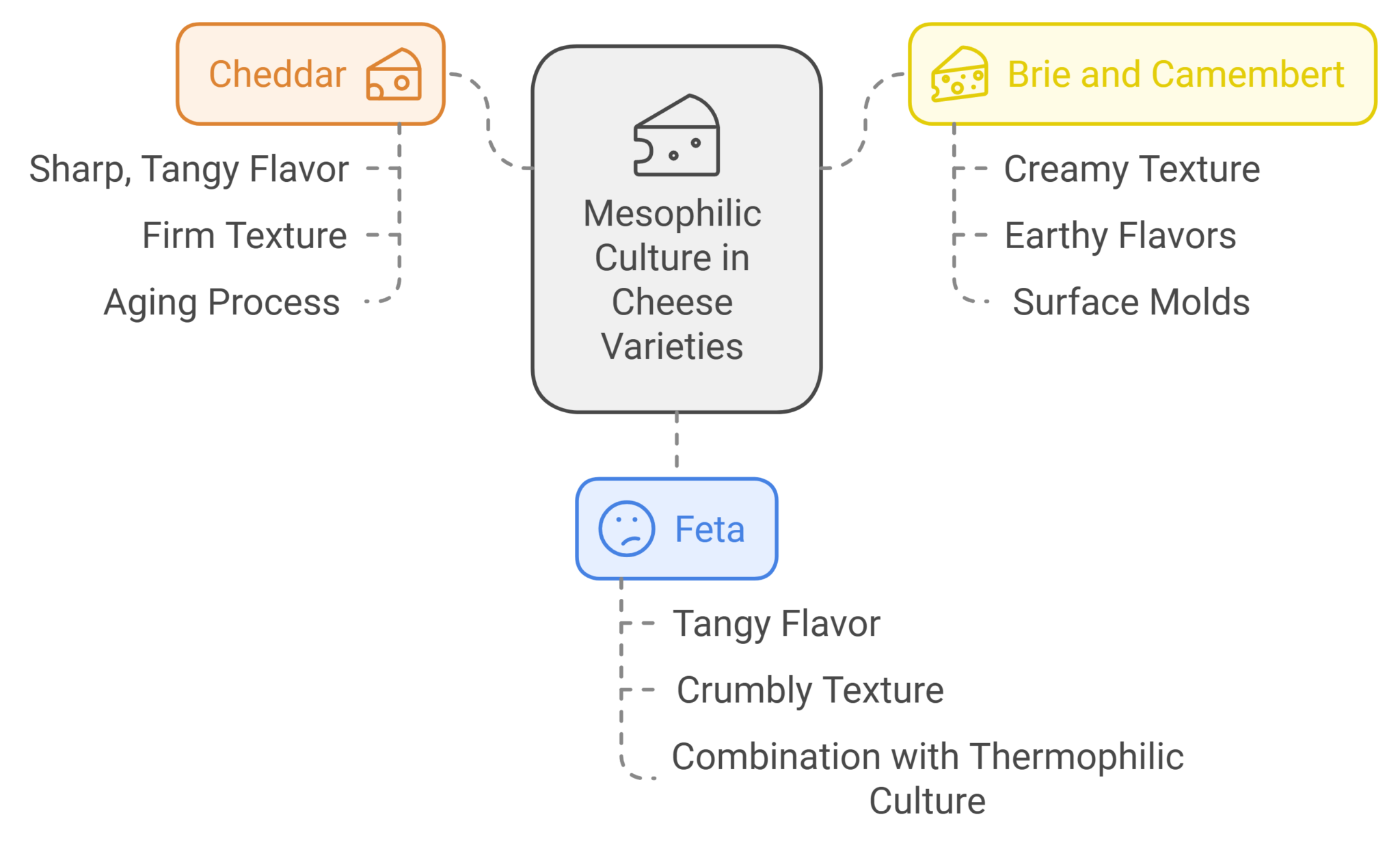 What is Mesophilic Cheese Culture: mesophilic starter culture and how ...